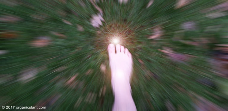 The Grounded Movie Is About The Power Of Connecting To The Earth’s ...